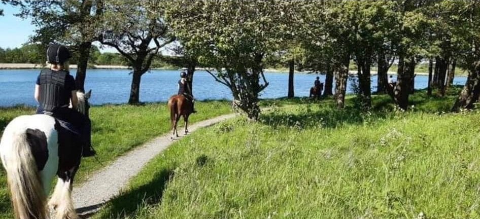 Vamdrup Rideklub - Forsiden